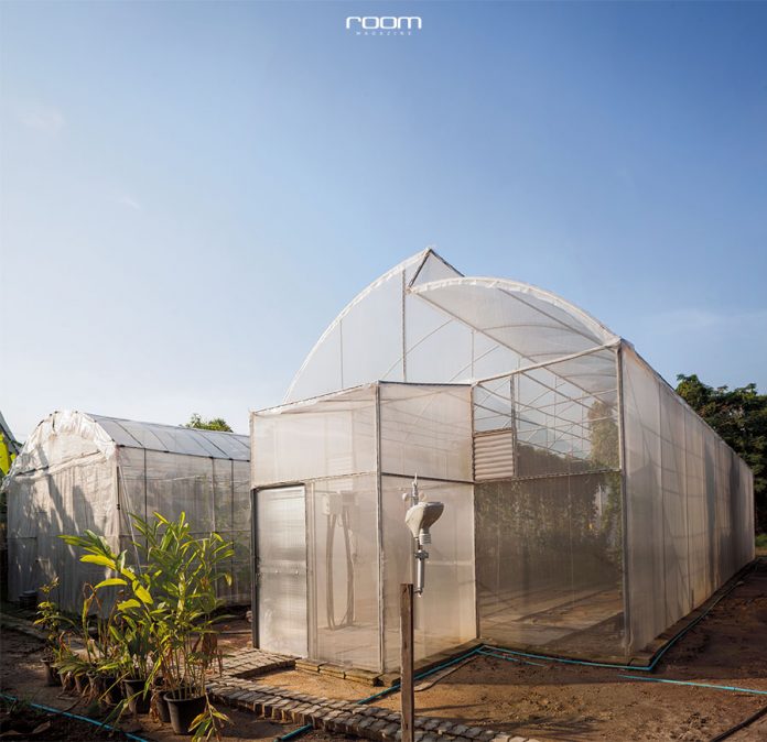 DEVA FARM - “สมาร์ทฟาร์มฮอปส์" แห่งแรกในไทย - room life