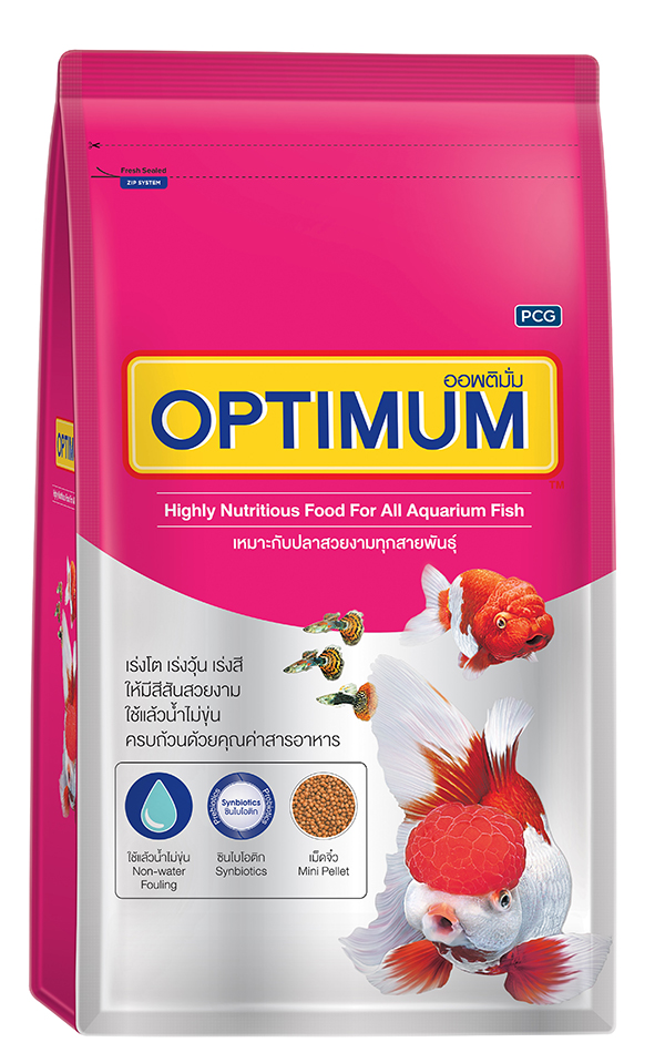 ไอเดียจัดสวนในตู้ปลาให้สวยได้นาน (การจัดตู้ปลา) - บ้านและสวน X Optimum