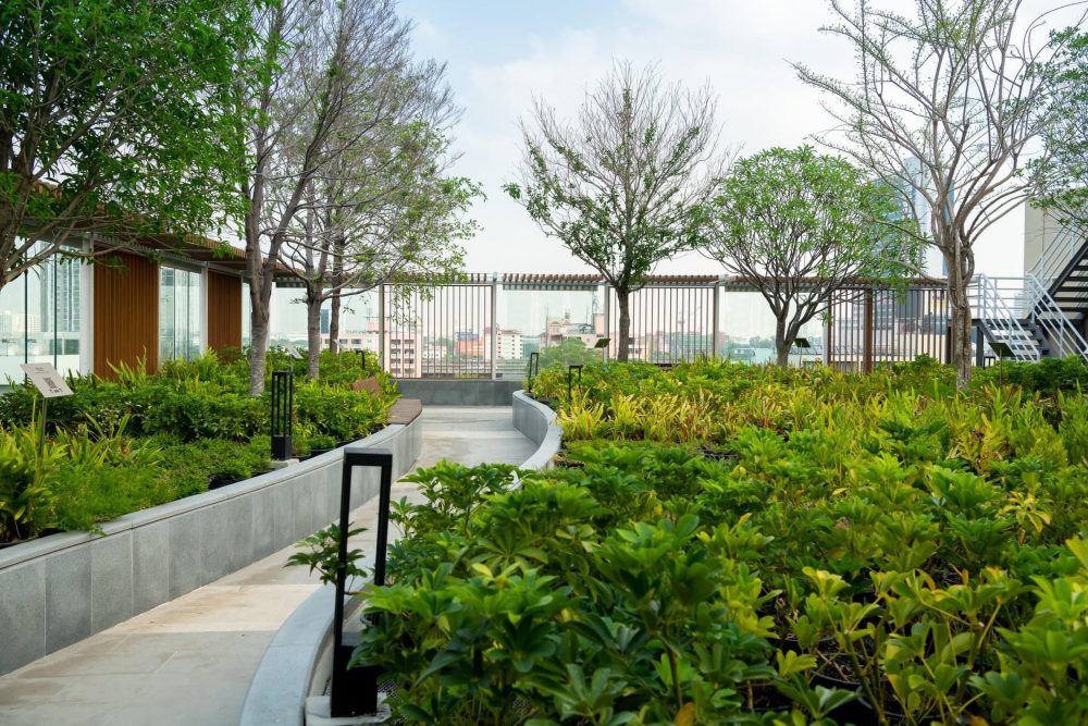 Axis Landscape - room