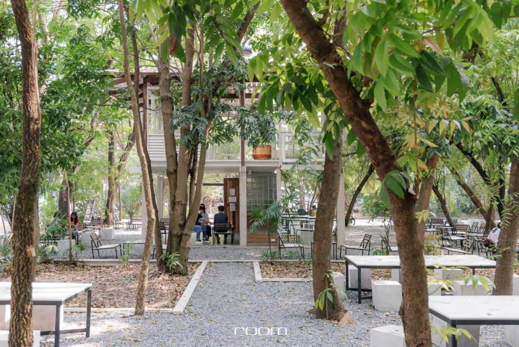 SAI SAI CAFE คาเฟ่กลางมหาวิทยาลัย ที่พรางตัวไปกับธรรมชาติ - room