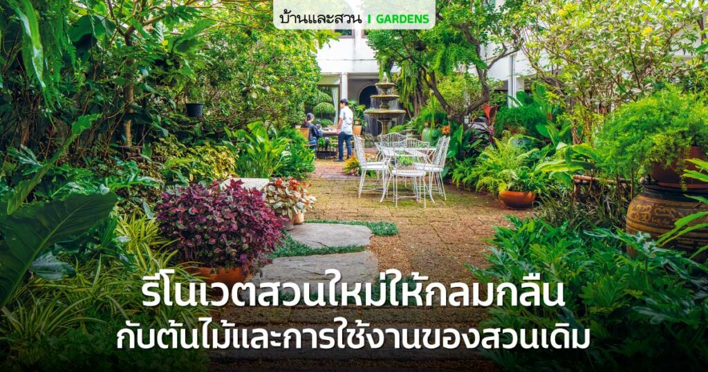 Infinite Garden and Landscape Design - room