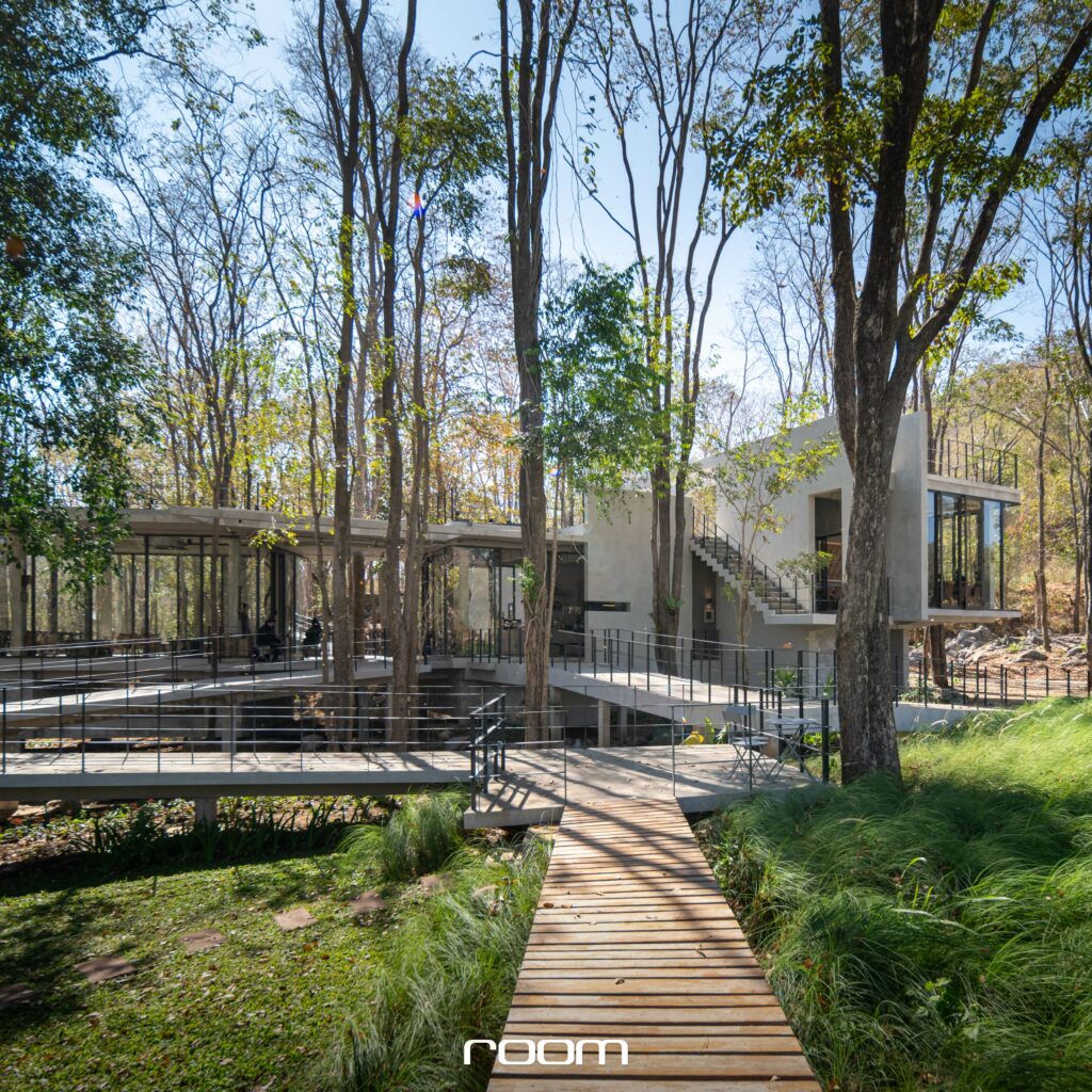 Ravenscale Khaoyai คาเฟ่เขาใหญ่ ที่อยากชวนมาสัมผัสป่าเปลี่ยนสี