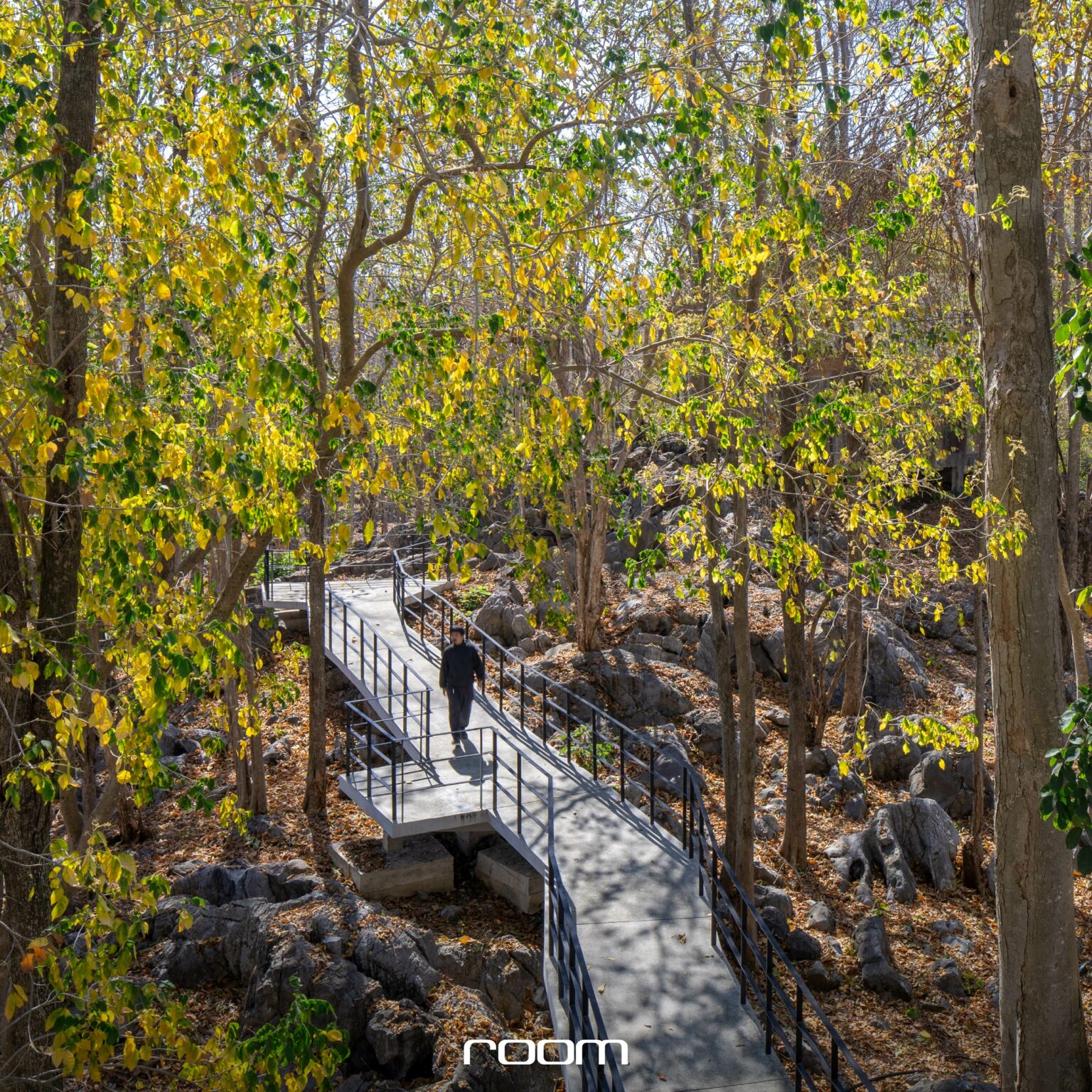 Ravenscale Khaoyai คาเฟ่เขาใหญ่ ที่อยากชวนมาสัมผัสป่าเปลี่ยนสี