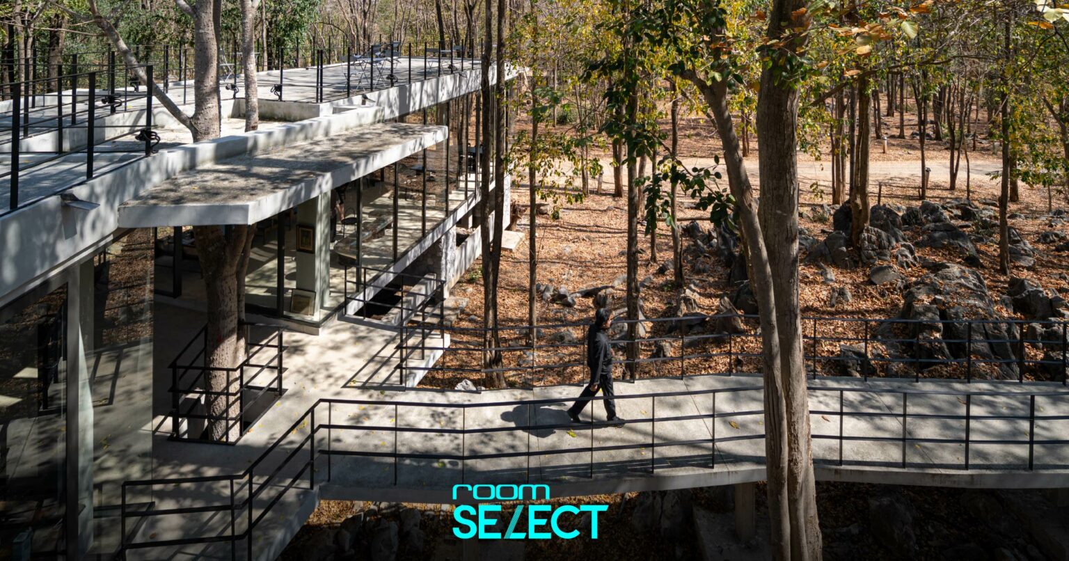 Ravenscale Khaoyai คาเฟ่เขาใหญ่ ที่อยากชวนมาสัมผัสป่าเปลี่ยนสี