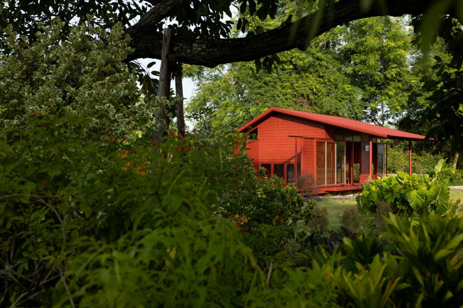 Vermilion Cafe คาเฟ่ระยอง สีแดงชาด ตัดกับธรรมชาติสีเขียวกลางสวน